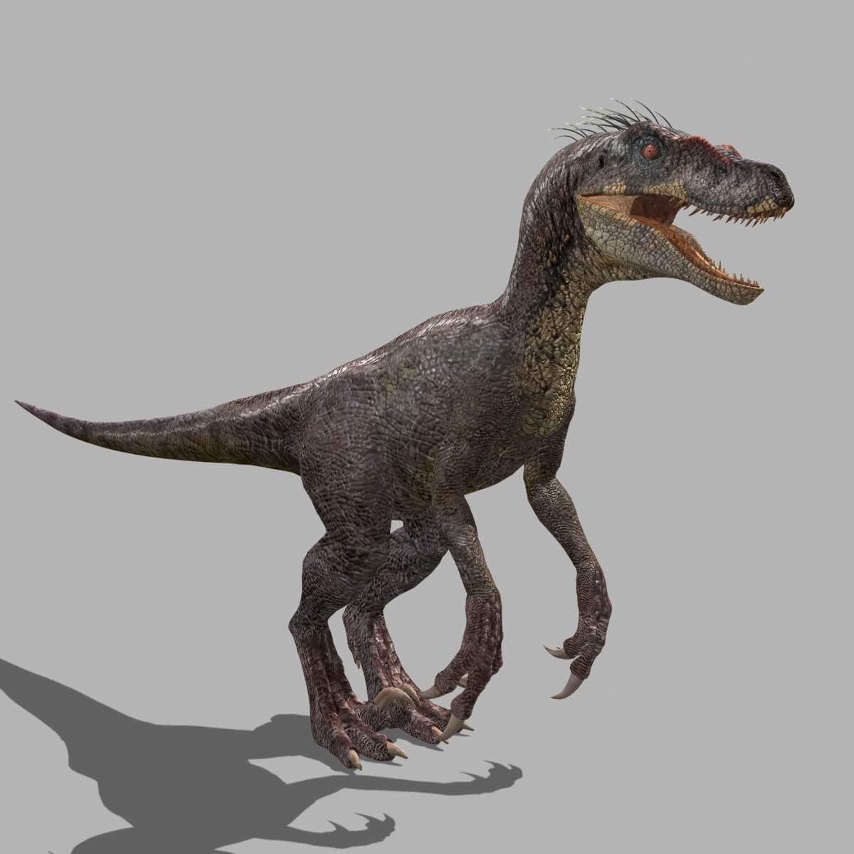 Raptor - 3D Model by Virtual creator