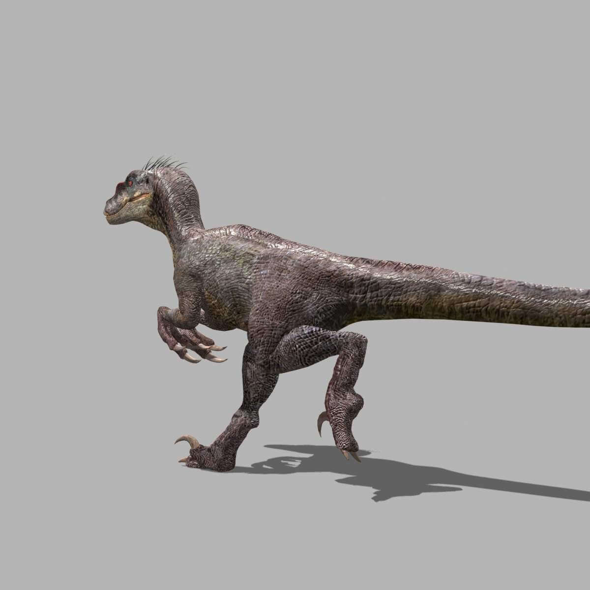Raptor - 3D Model by Virtual creator
