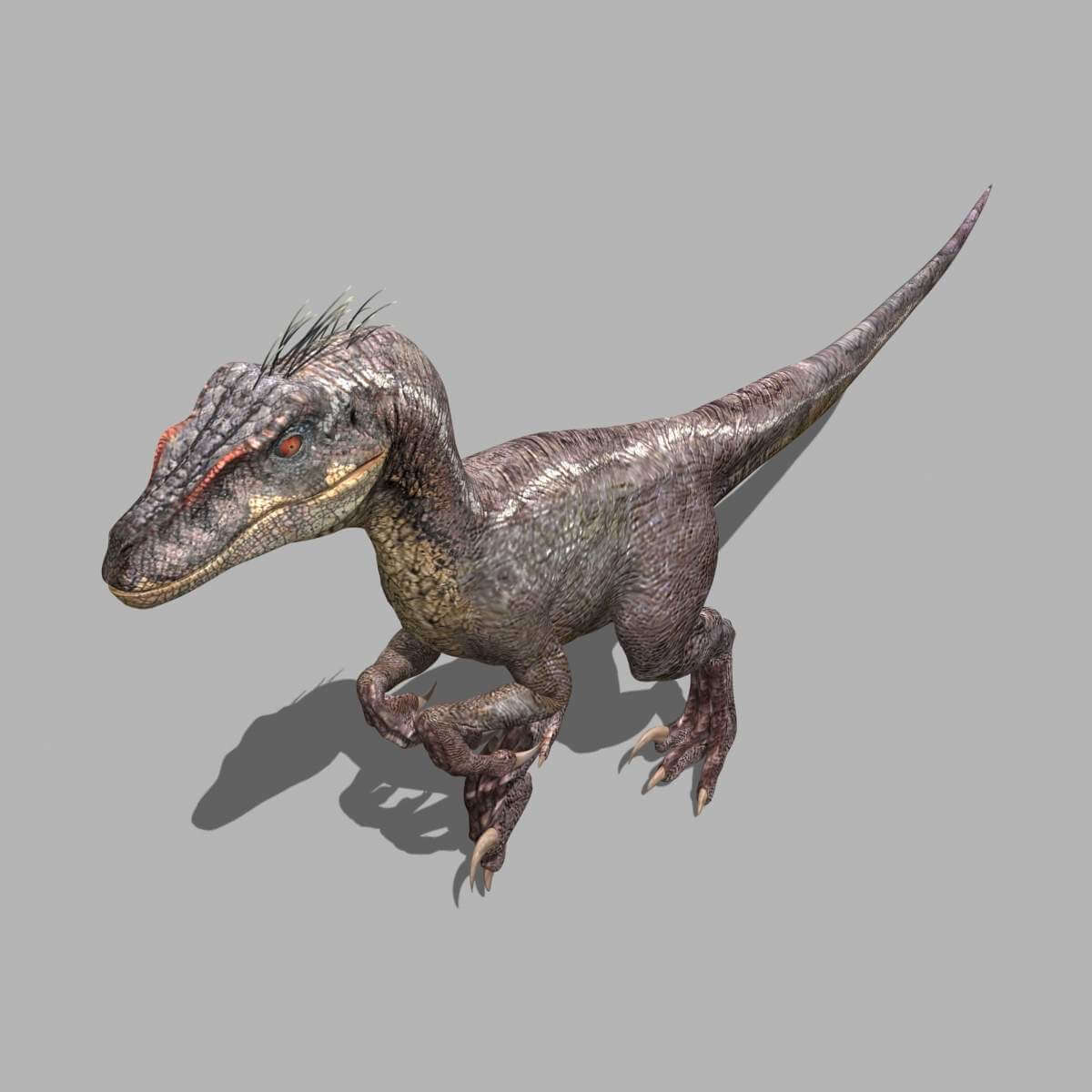 Raptor - 3D Model by Virtual creator