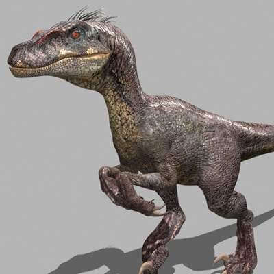 Raptor - 3D Model by Virtual creator