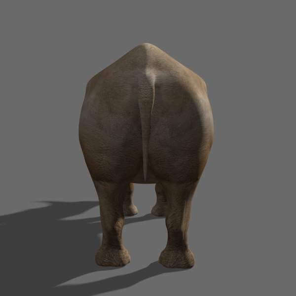 Rhino - 3D Model by Virtual creator