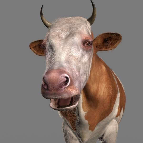 Cow - 3D Model by Virtual creator