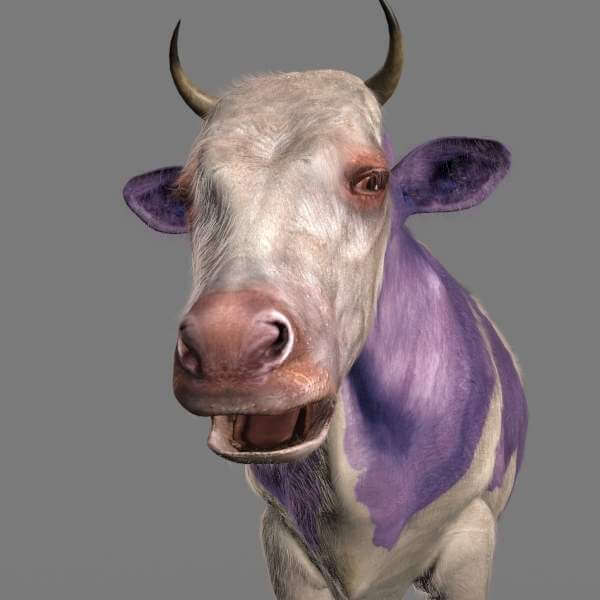 Cow - 3D Model by Virtual creator