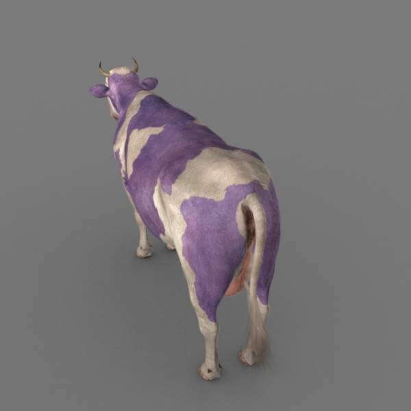 Cow - 3D Model by Virtual creator