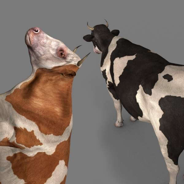 Cow - 3D Model by Virtual creator