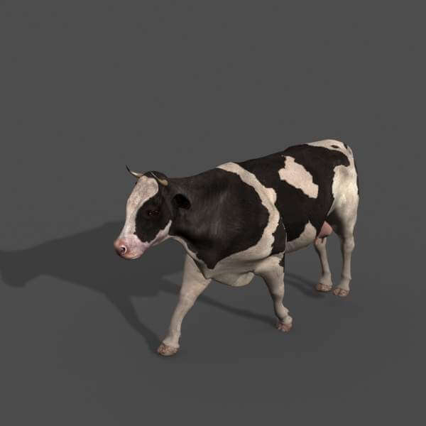 Cow - 3D Model by Virtual creator