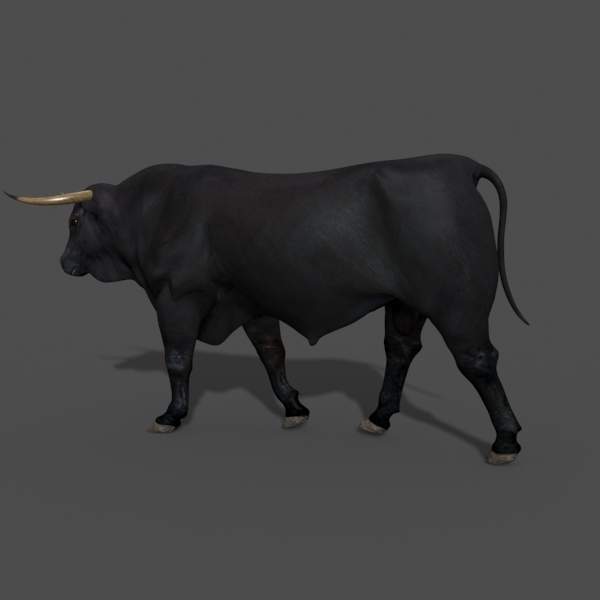 Ultimate Bull - 3D Model by Virtual creator