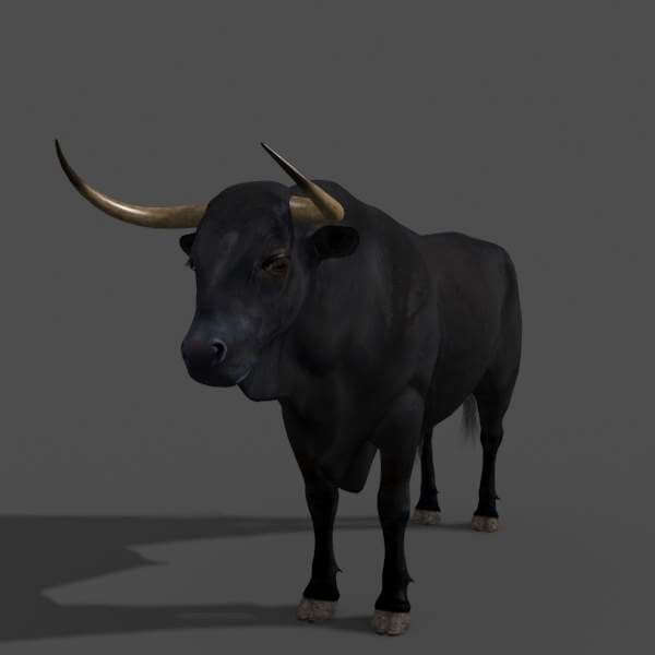 Ultimate Bull - 3D Model by Virtual creator