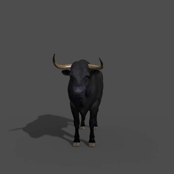 Ultimate Bull - 3D Model by Virtual creator