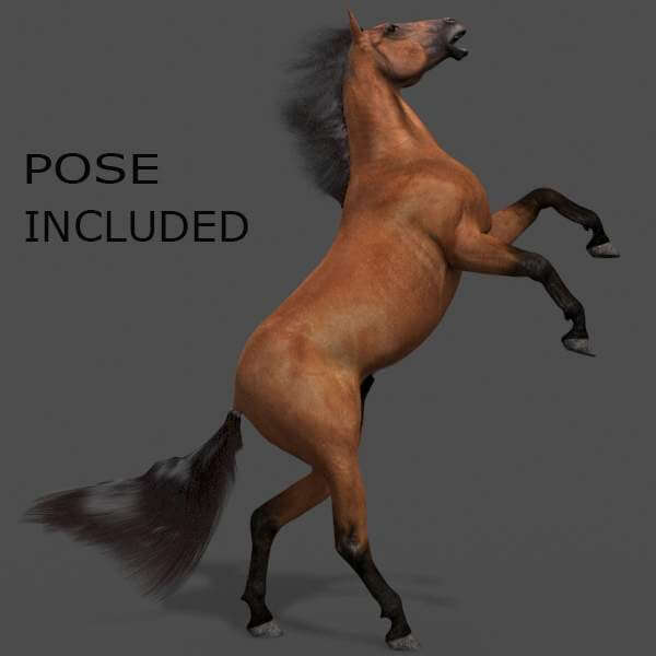 Horse Collection - 3D Model by Virtual creator