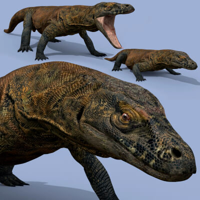 Ultimate Komodo Dragon 8K 3D Animated Model by Virtual creator