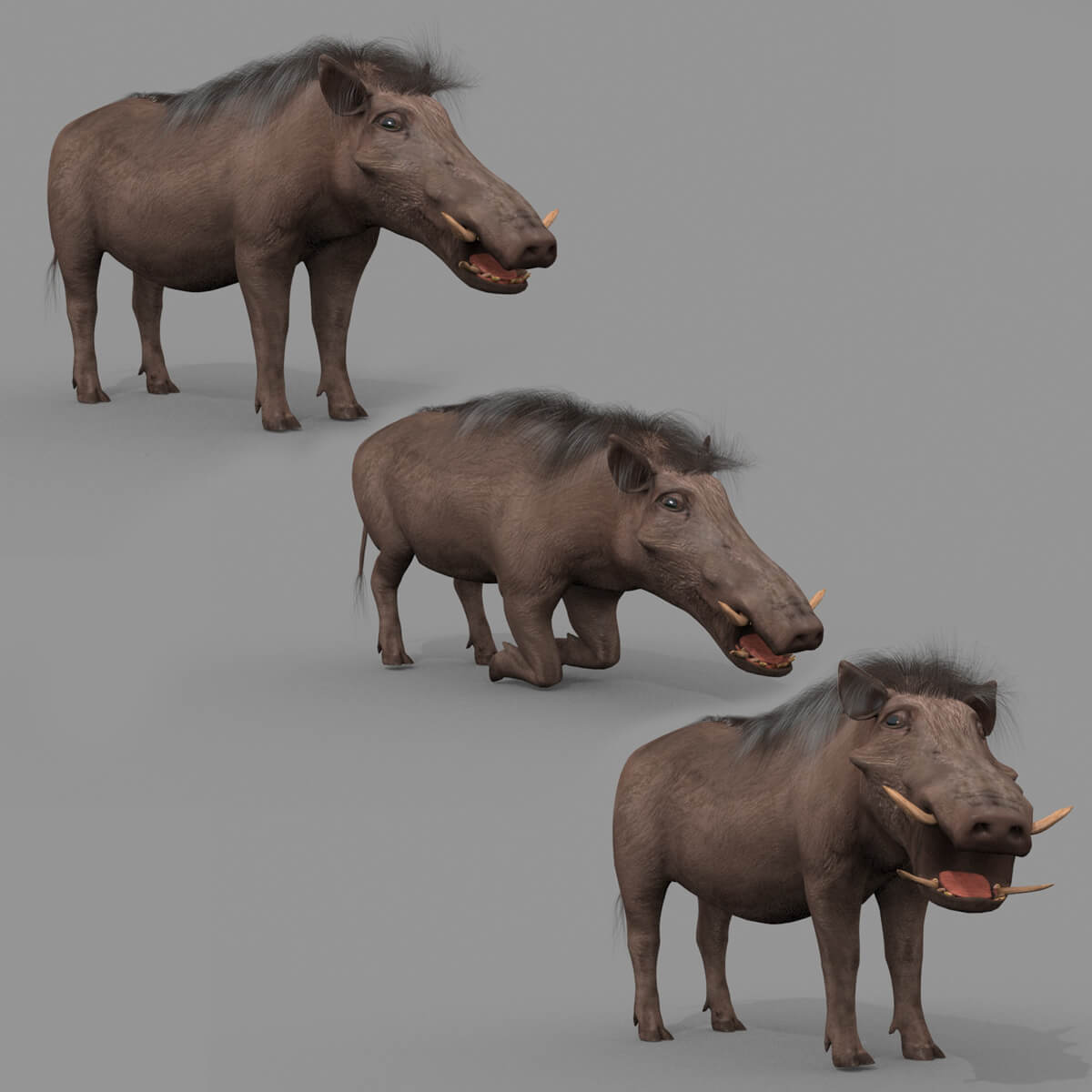 Warthog African Pig - Animated Fur 3D Model by Virtual creator