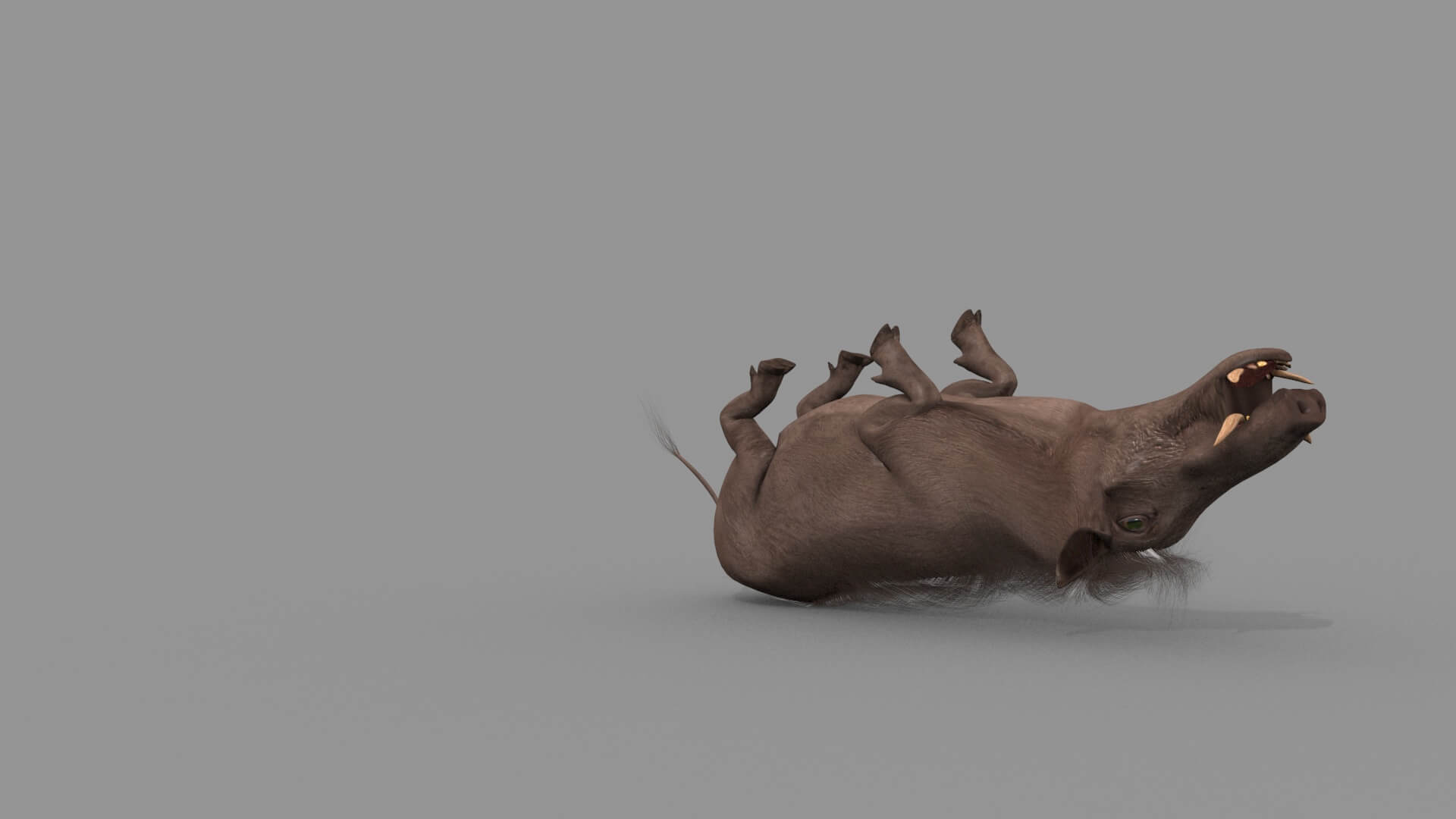 Warthog African Pig - Animated Fur 3D Model by Virtual creator