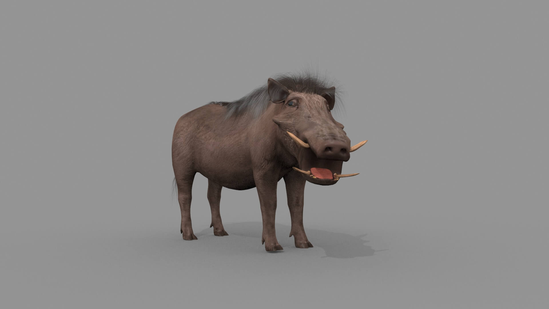 Warthog African Pig - Animated Fur 3D Model by Virtual creator