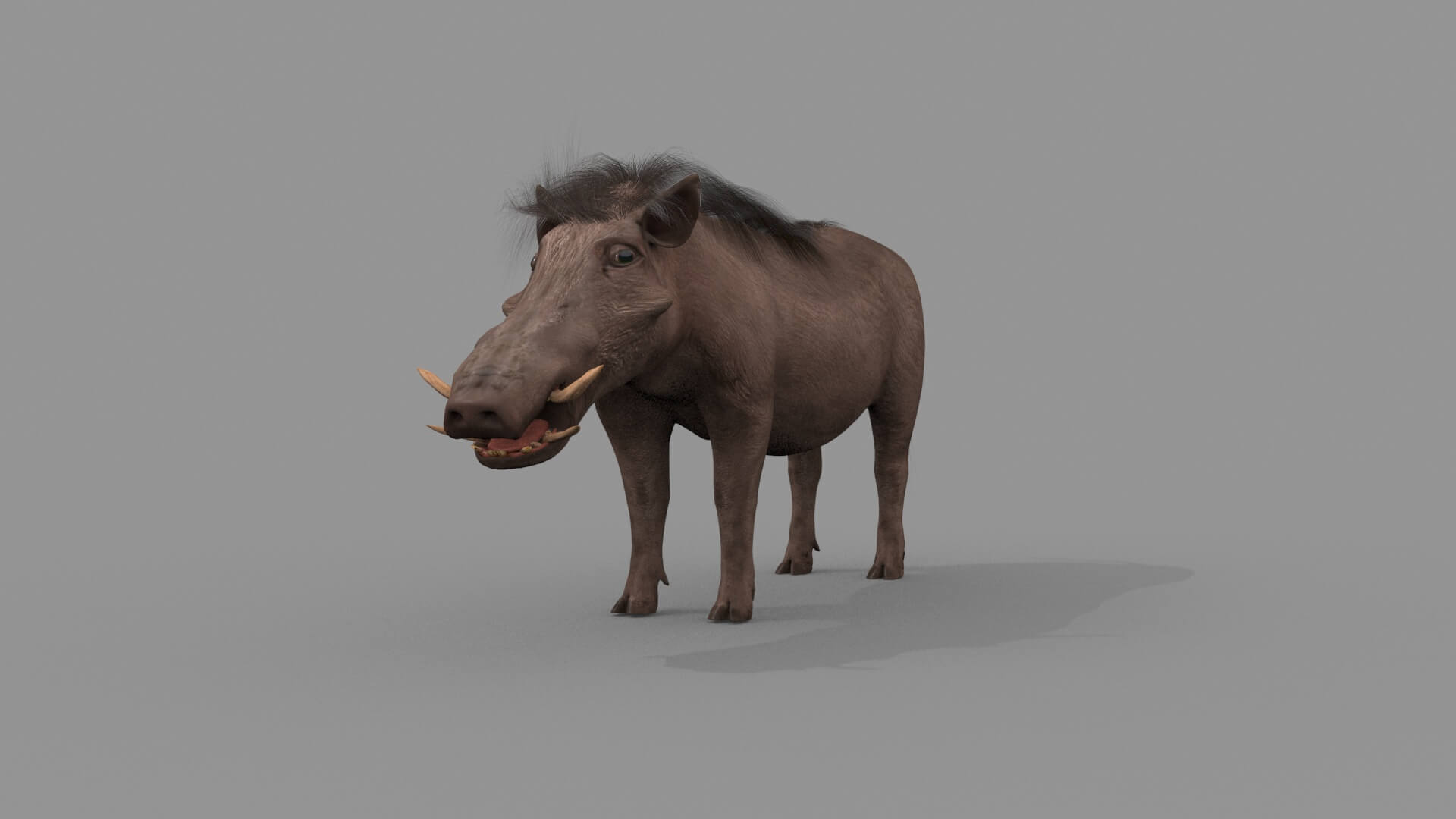 Warthog African Pig - Animated Fur 3D Model by Virtual creator