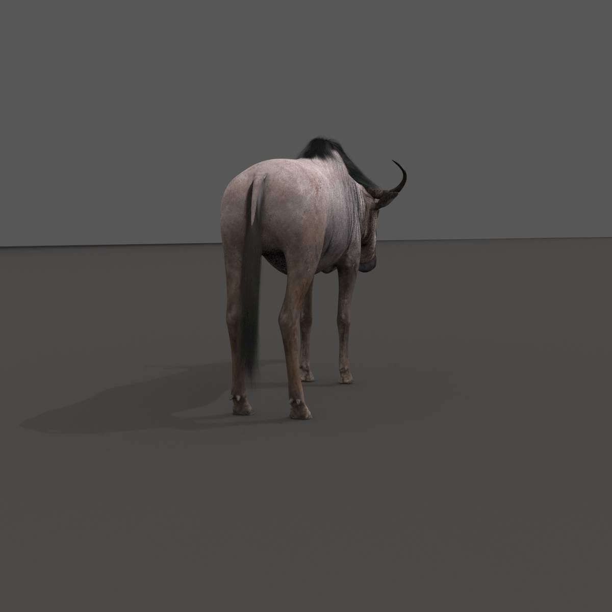 Wildebeest PRO - 3D Model by Virtual creator