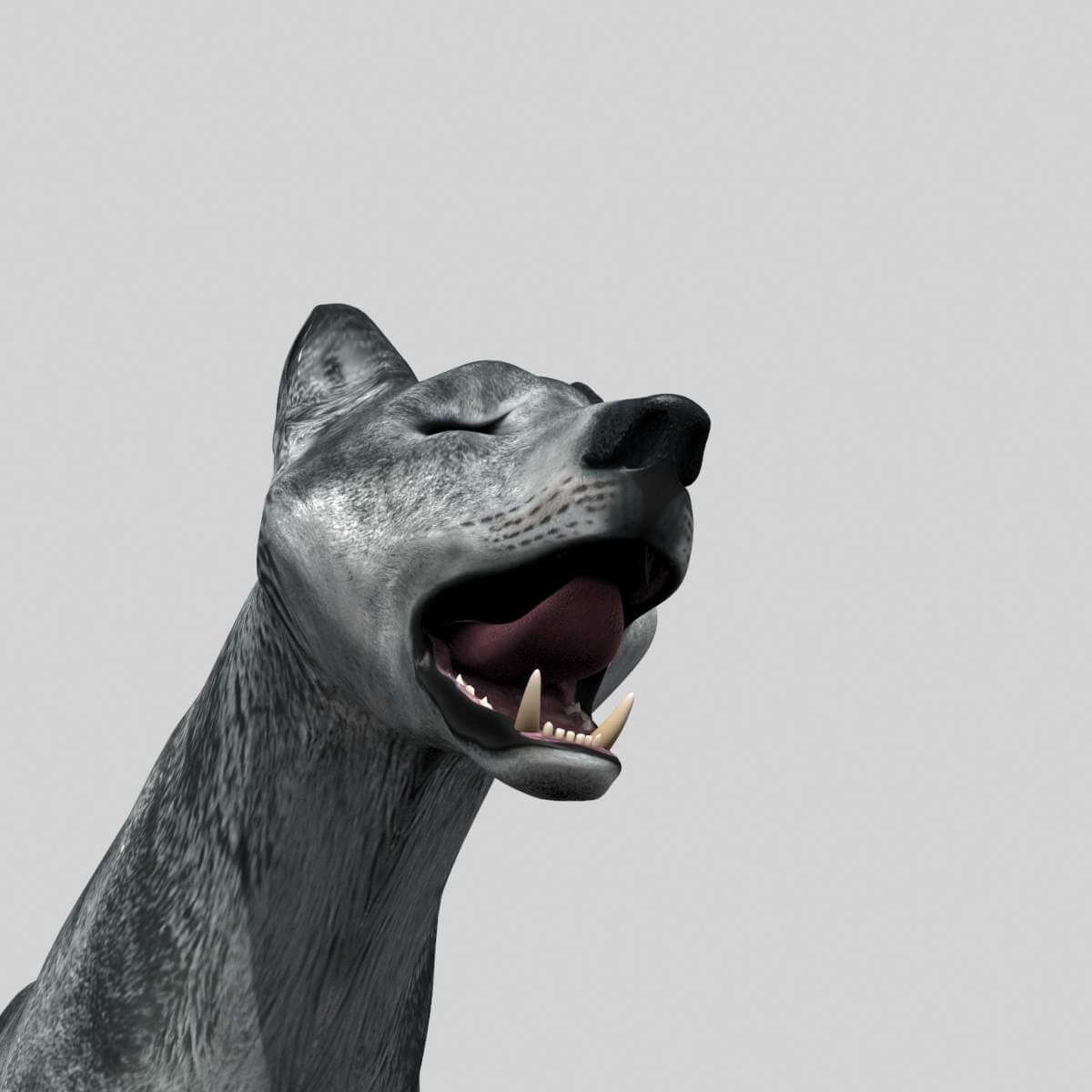 Wolfgang - 3D Model by Virtual creator