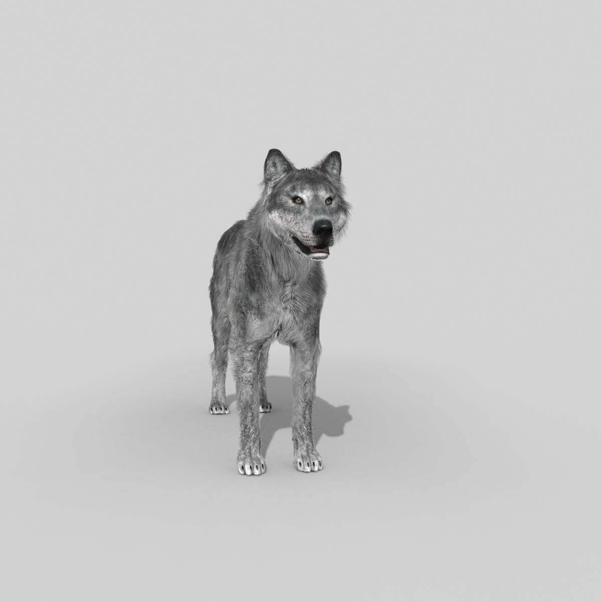 Wolfgang - 3D Model by Virtual creator