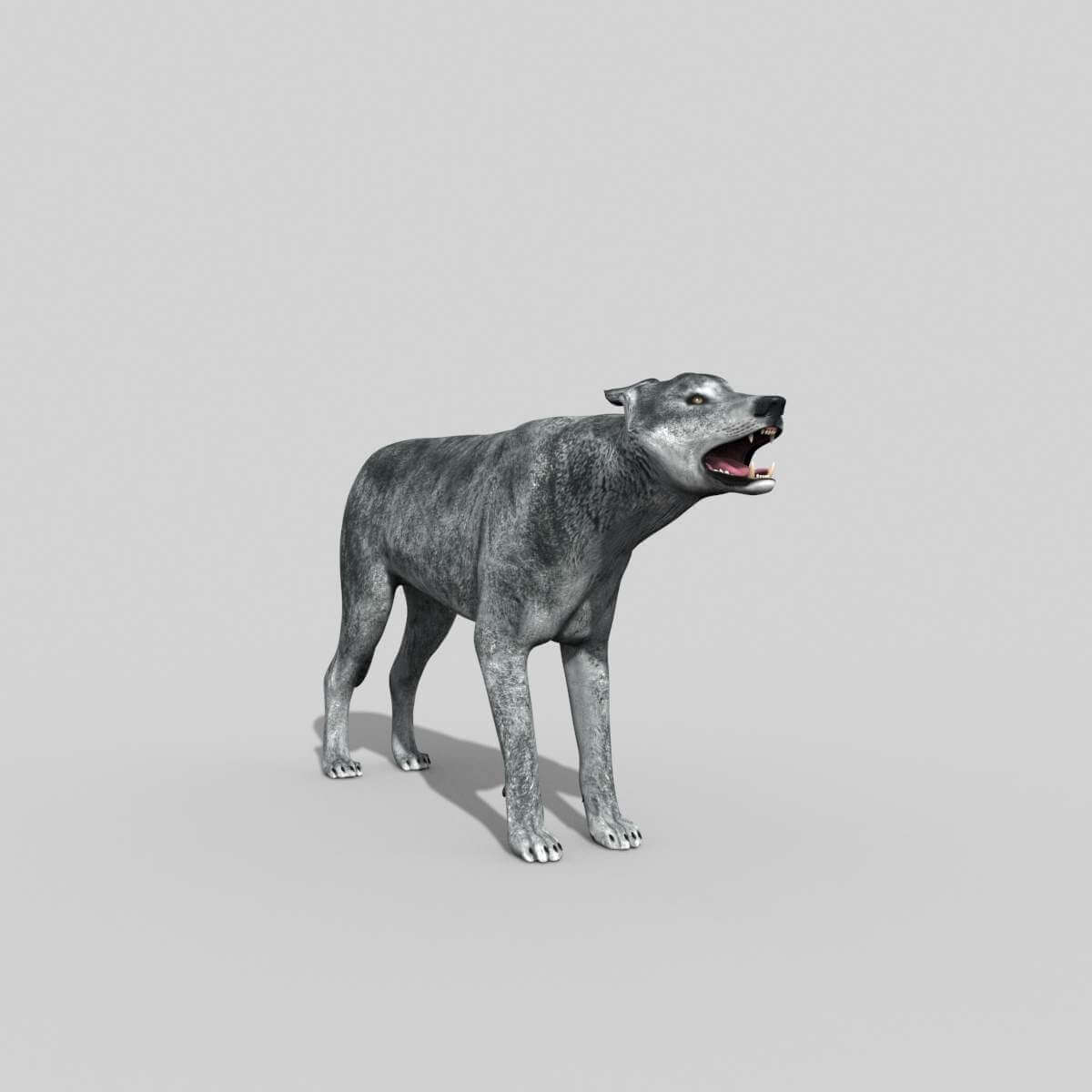 Wolfgang - 3D Model by Virtual creator