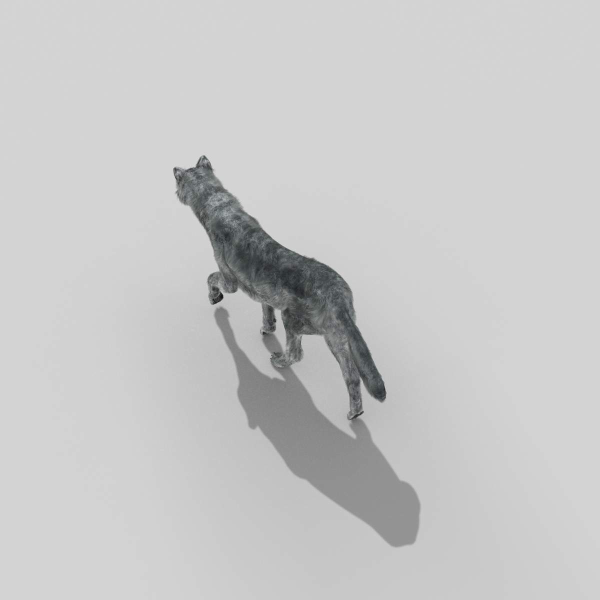 Wolfgang - 3D Model by Virtual creator