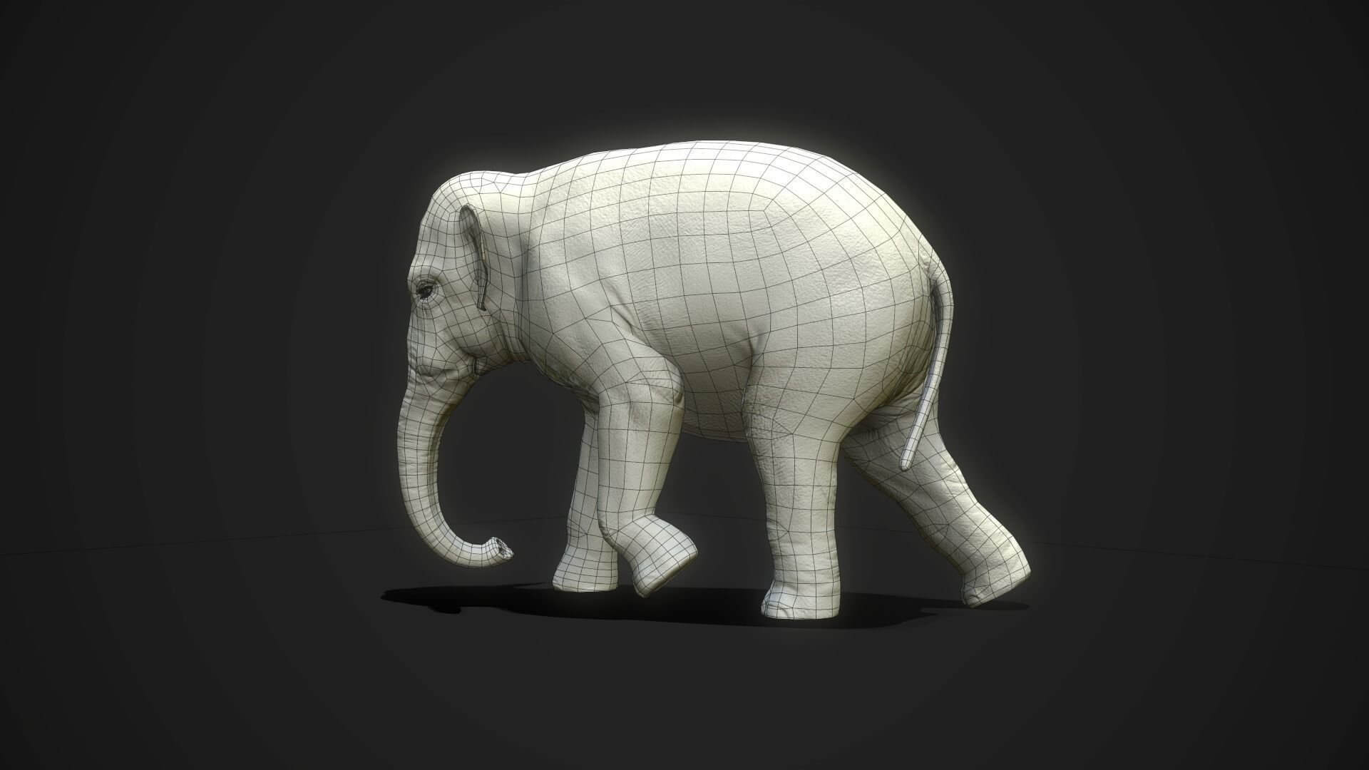 Asian Elephants - 3D Model by Viverna