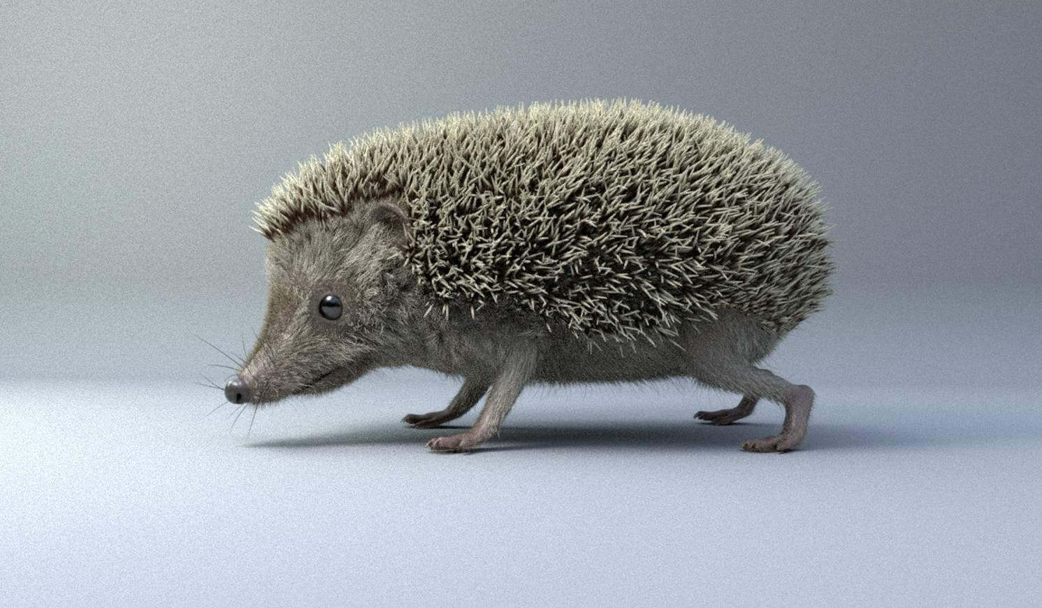 Hedgehog - 3D Model by Viverna