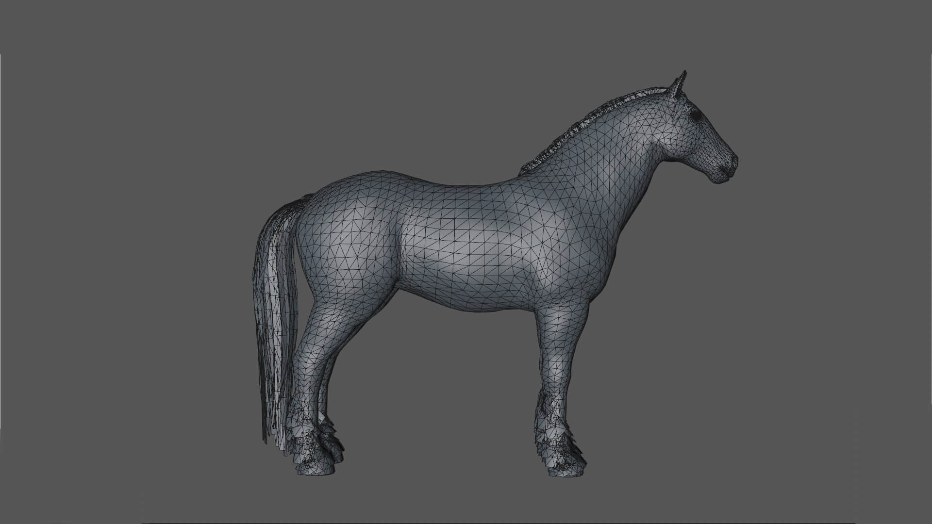 Stallion Horses - 3D Model by Viverna