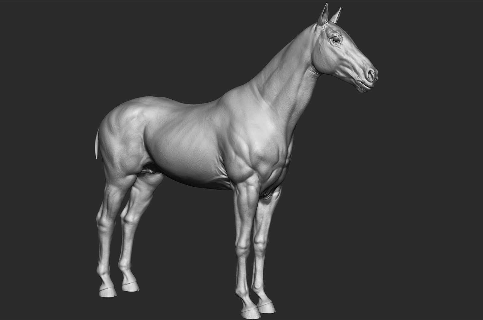 Realistic Horse - 3D Model by Viverna