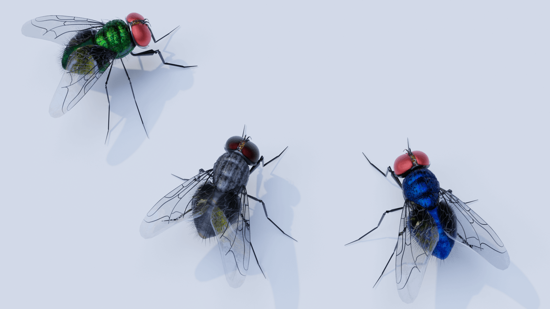 Flies! 3D Render, Digital Art by vixcosmen