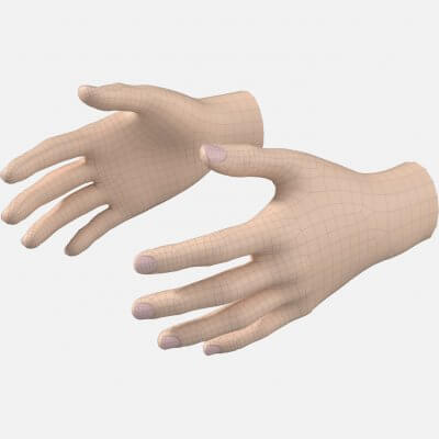 Ma 3D Models | Anatomy | Hands | RenderHub
