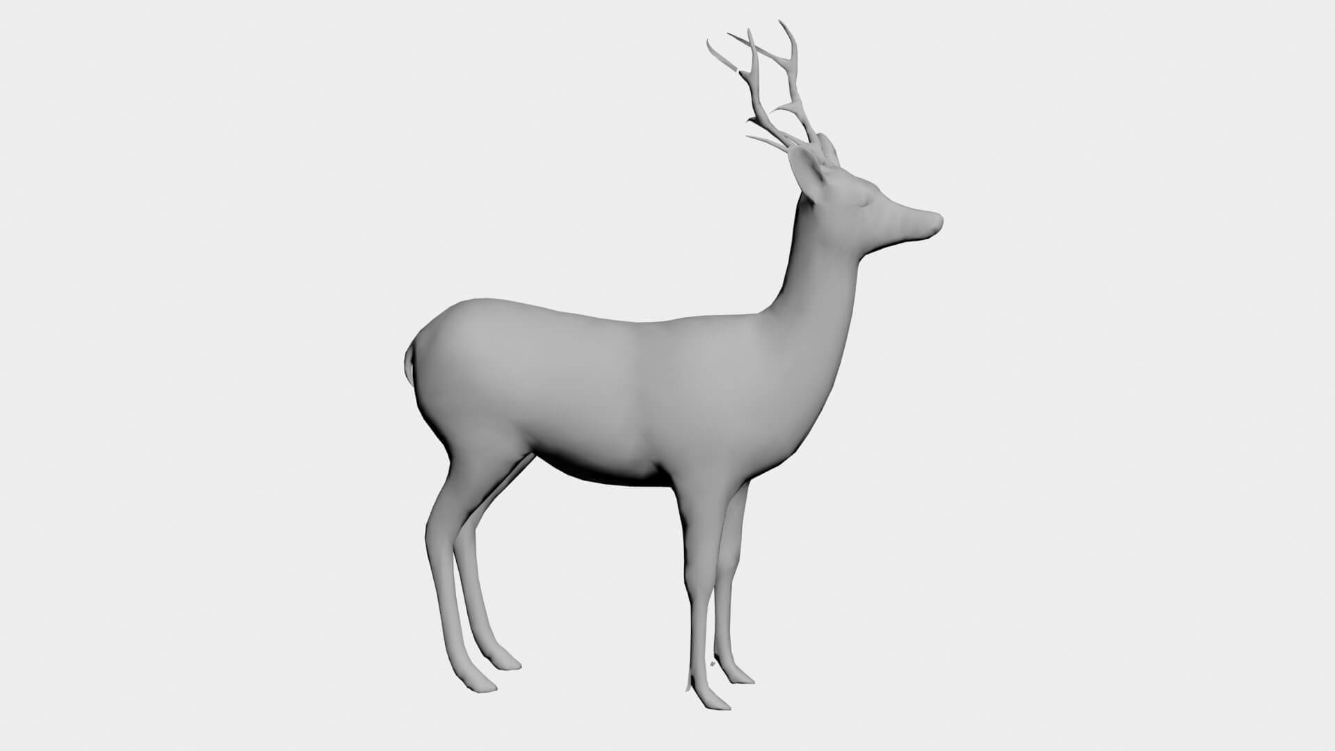 Deer - 3D Model by vlad25