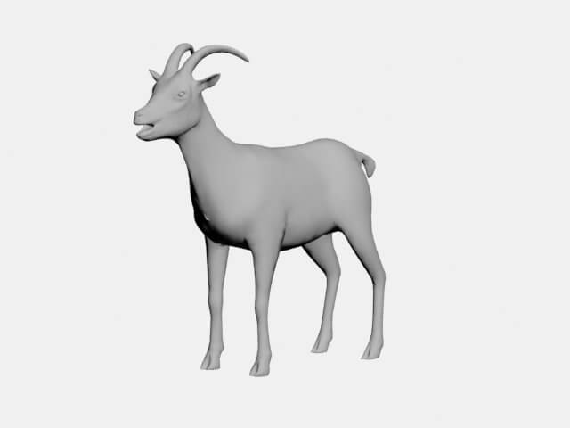 Goat - 3D Model by vlad25