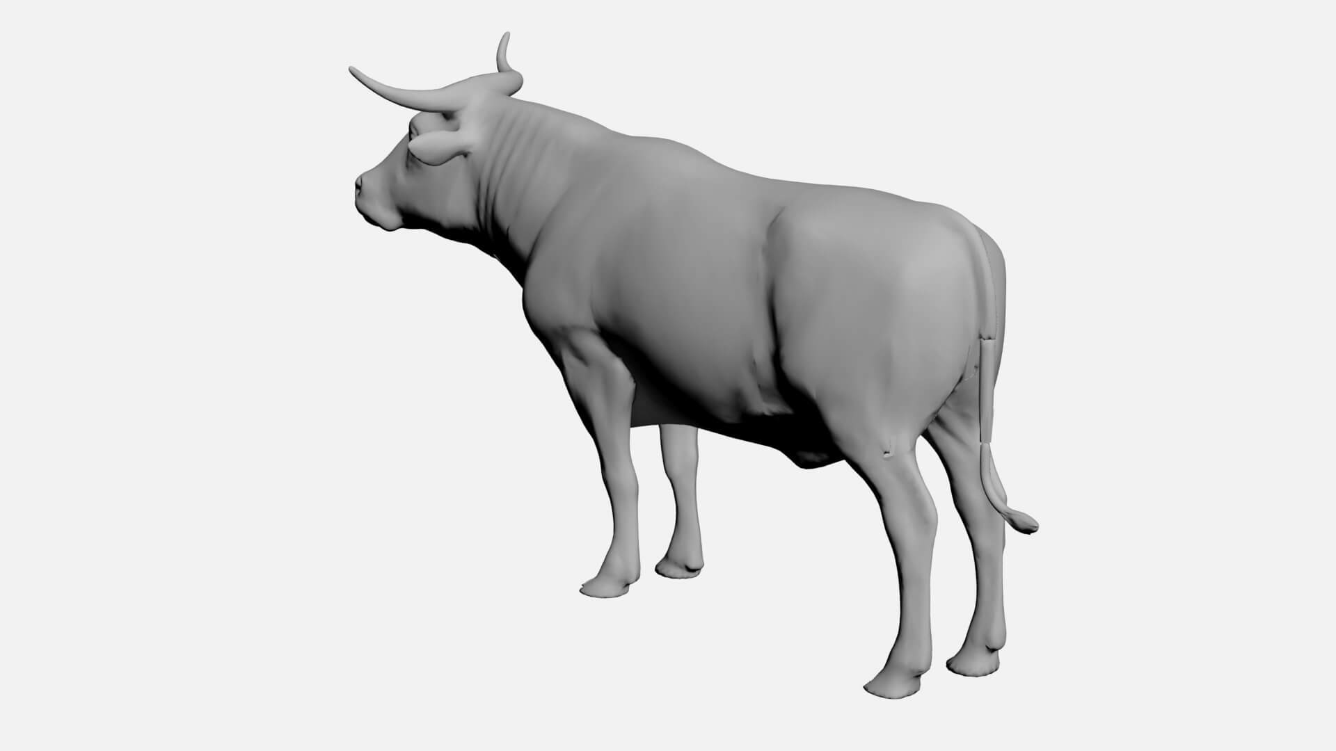 Ox - 3D Model by vlad25