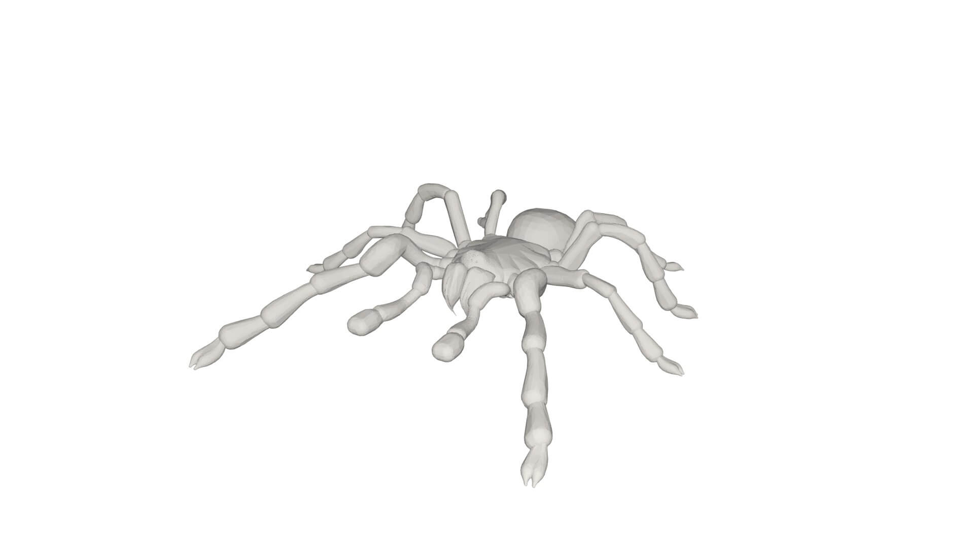 Tarantula - 3D Model by vlad25