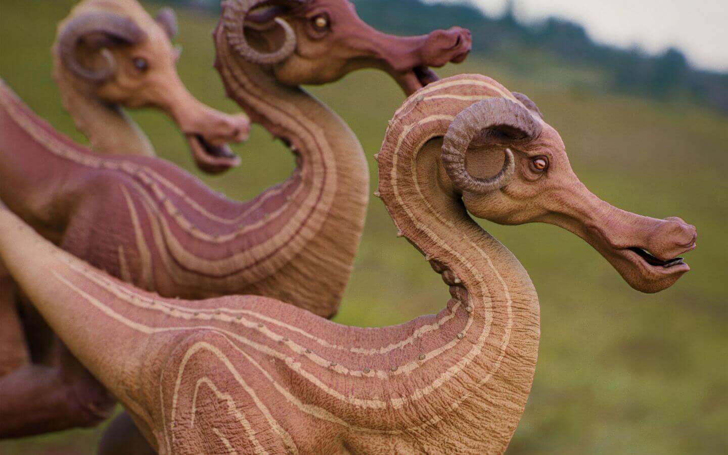 The Hokaus 3D Desktop HD Wallpaper