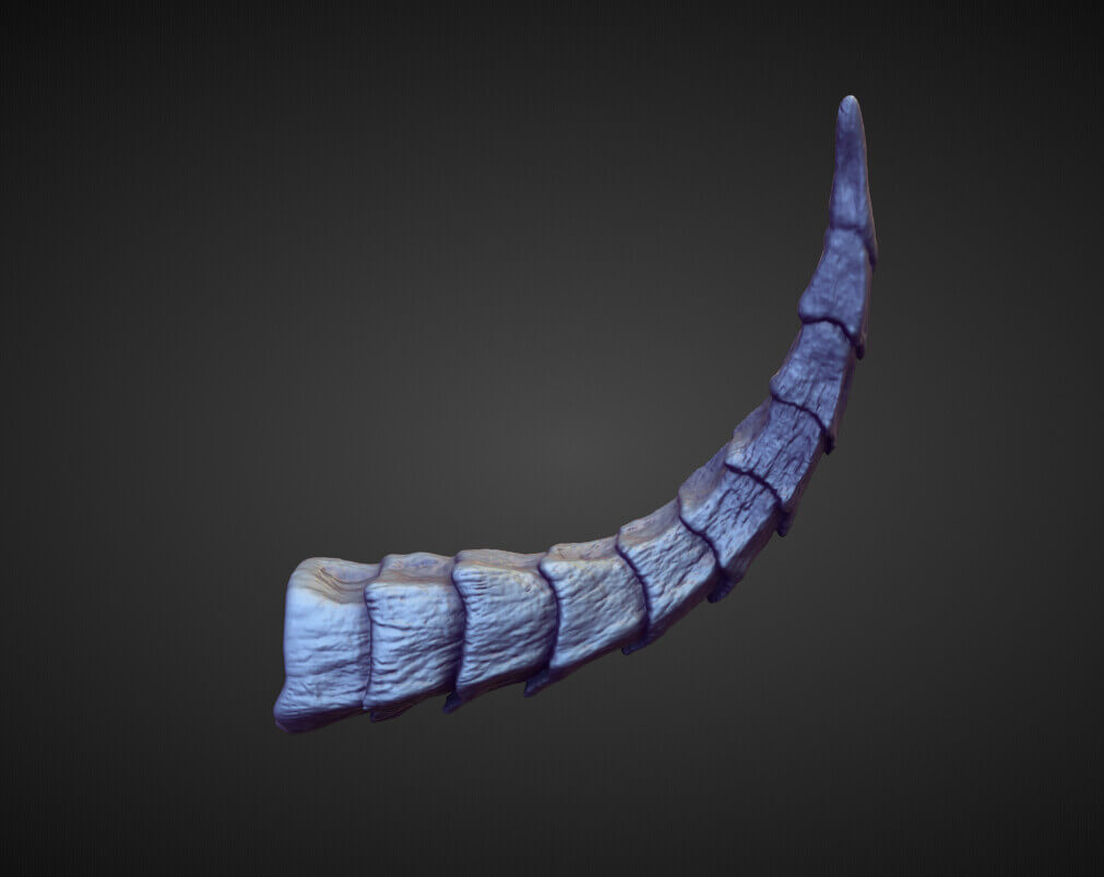 45 Horns High Poly Sculps Pack - 3D Model by Voltima