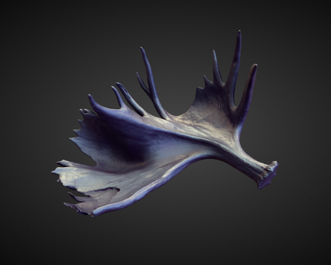 45 Horns High Poly Sculps Pack - 3D Model by Voltima