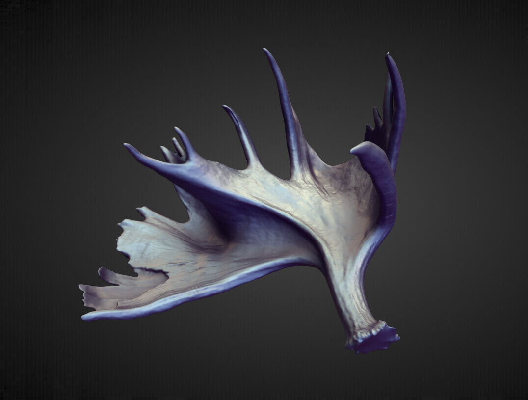 45 Horns High Poly Sculps Pack - 3D Model by Voltima