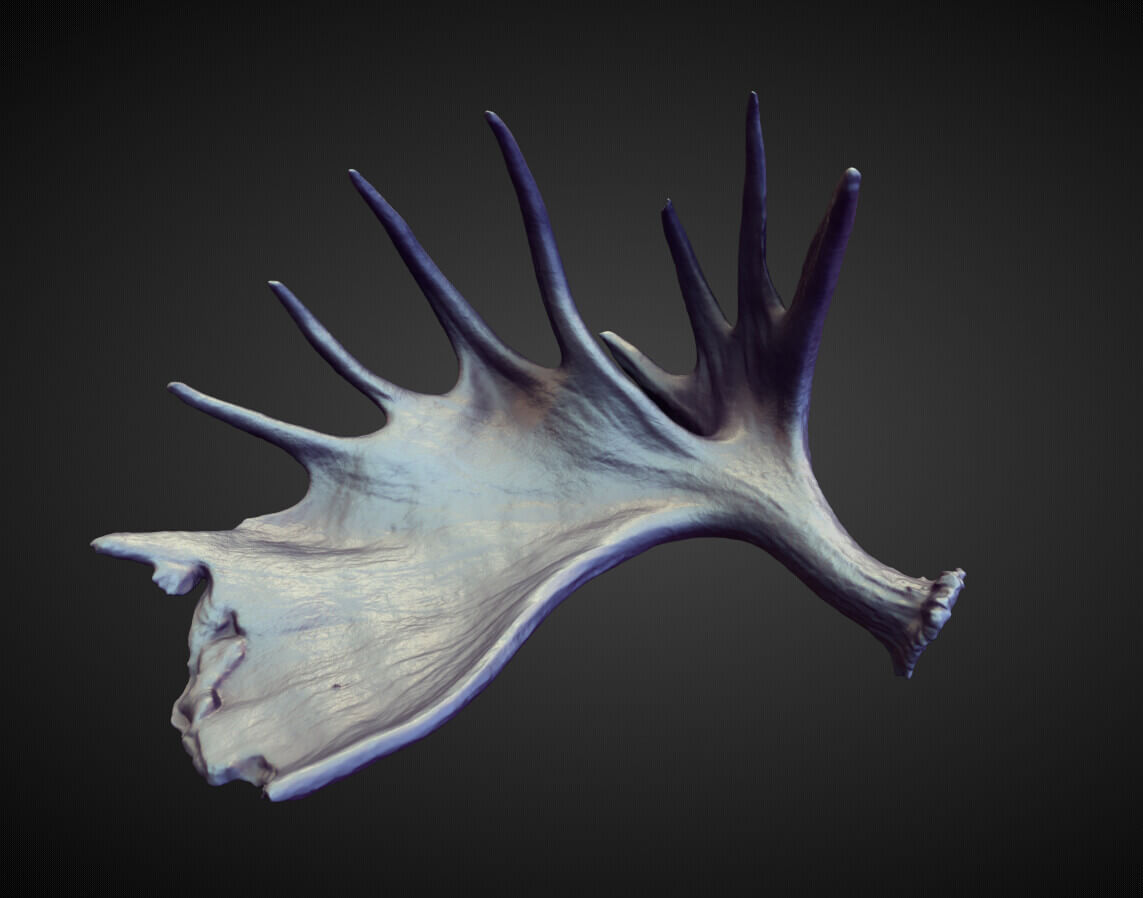 45 Horns High Poly Sculps Pack - 3D Model by Voltima