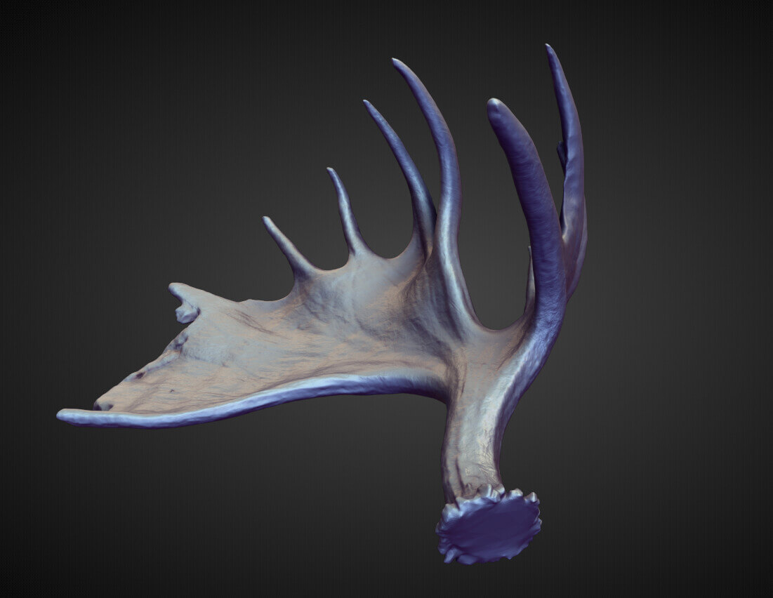 45 Horns High Poly Sculps Pack - 3D Model by Voltima