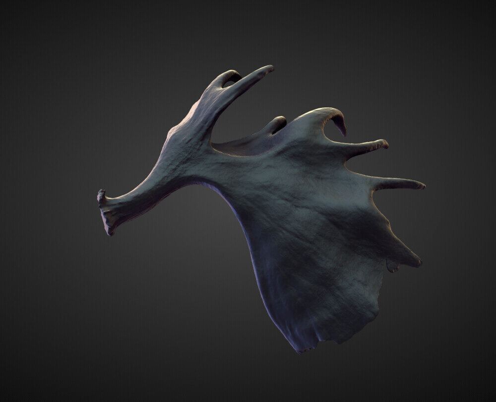 45 Horns High Poly Sculps Pack - 3D Model by Voltima