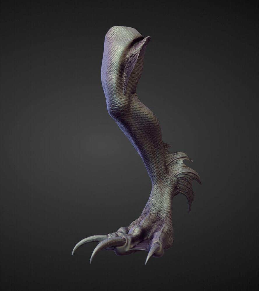 45 Legs High Poly Sculpts Pack - 3D Model by Voltima