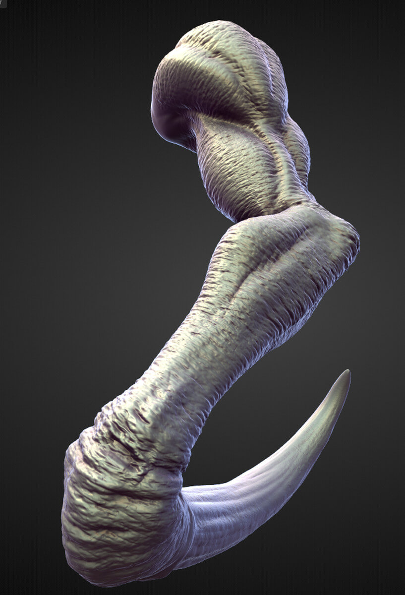 ARM19 High Poly Sculpt - 3D Model by Voltima