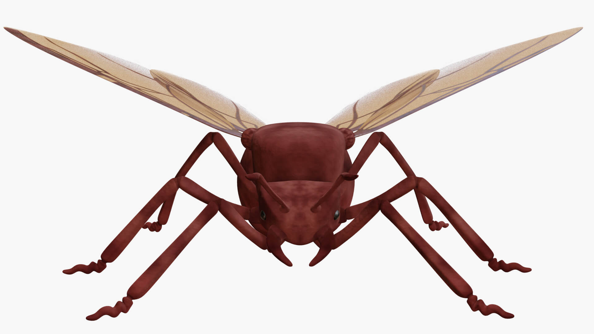 Ant With Wings - 3D Model by VRTOON