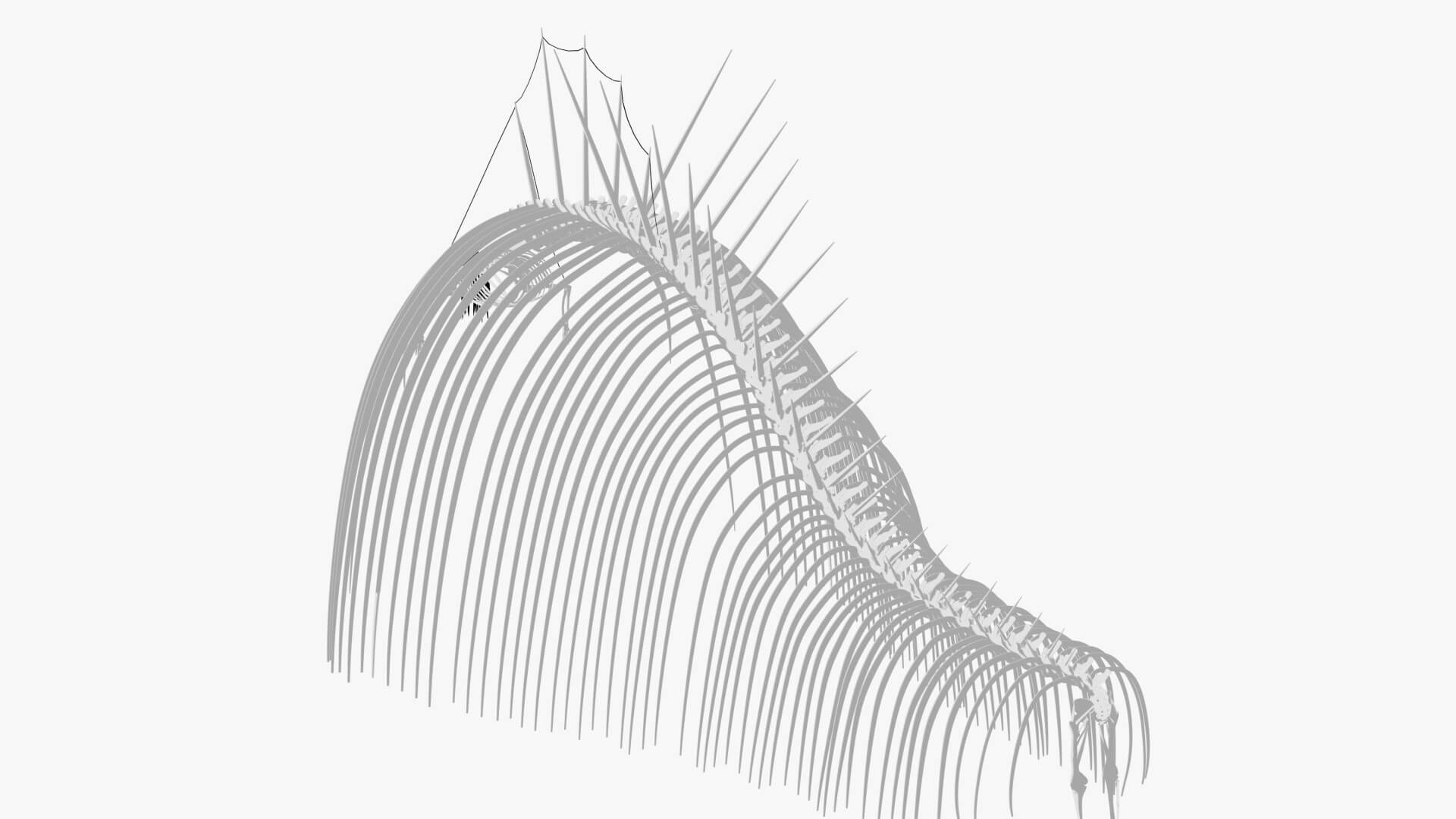 Eren Founding Titan - 3D Model by VRTOON