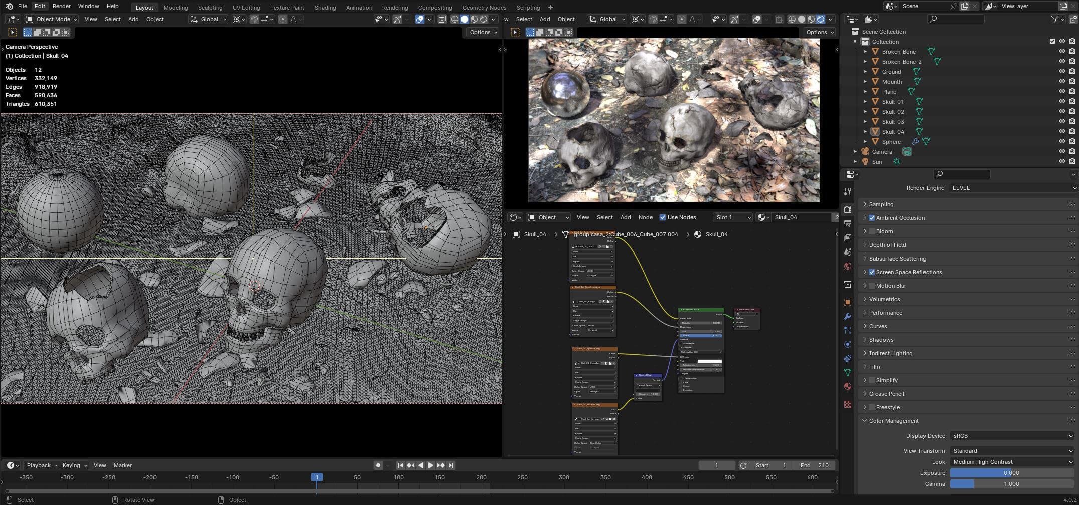 Human Skull Collection - 3D Model by VRTOON