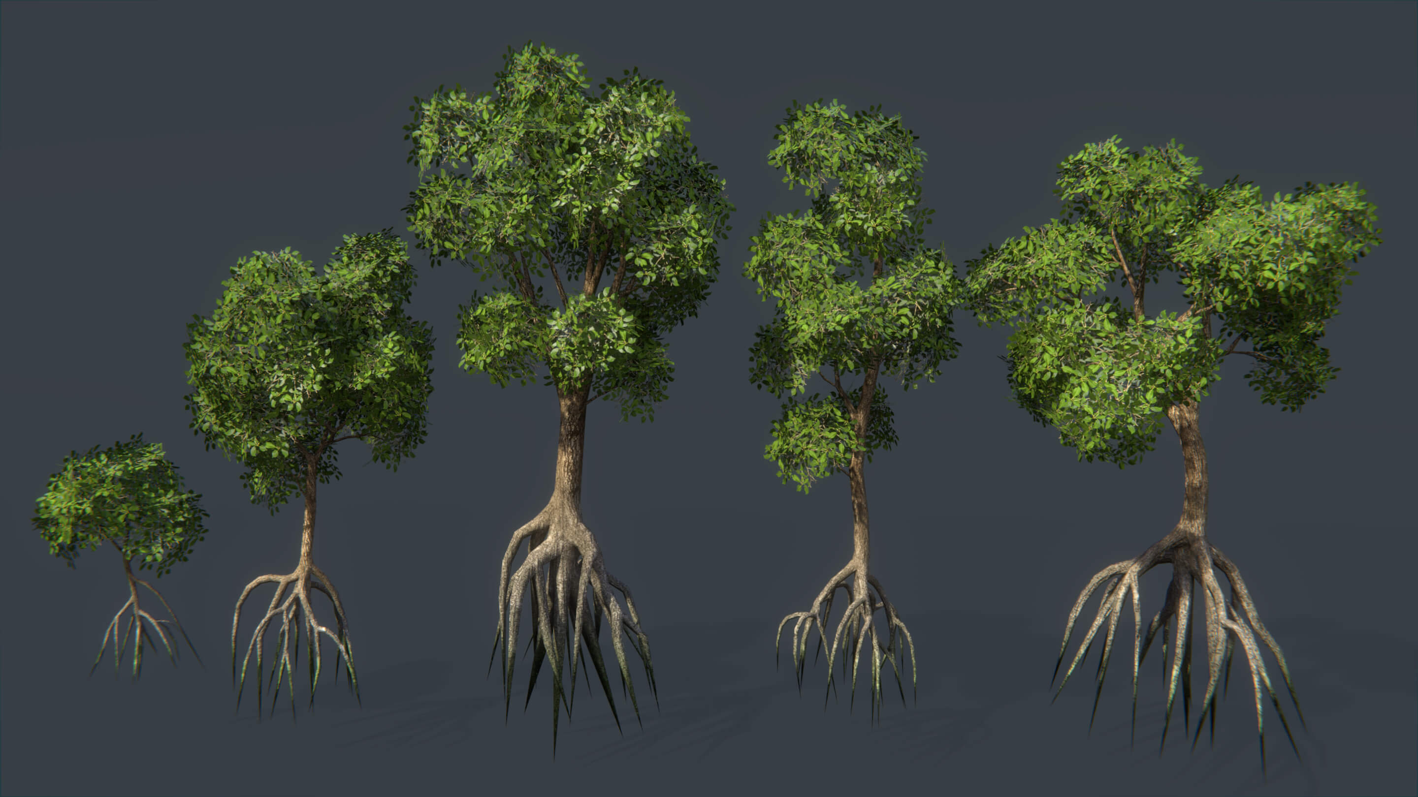 Low Poly Mangrove Trees - 3D Model by vvoitec