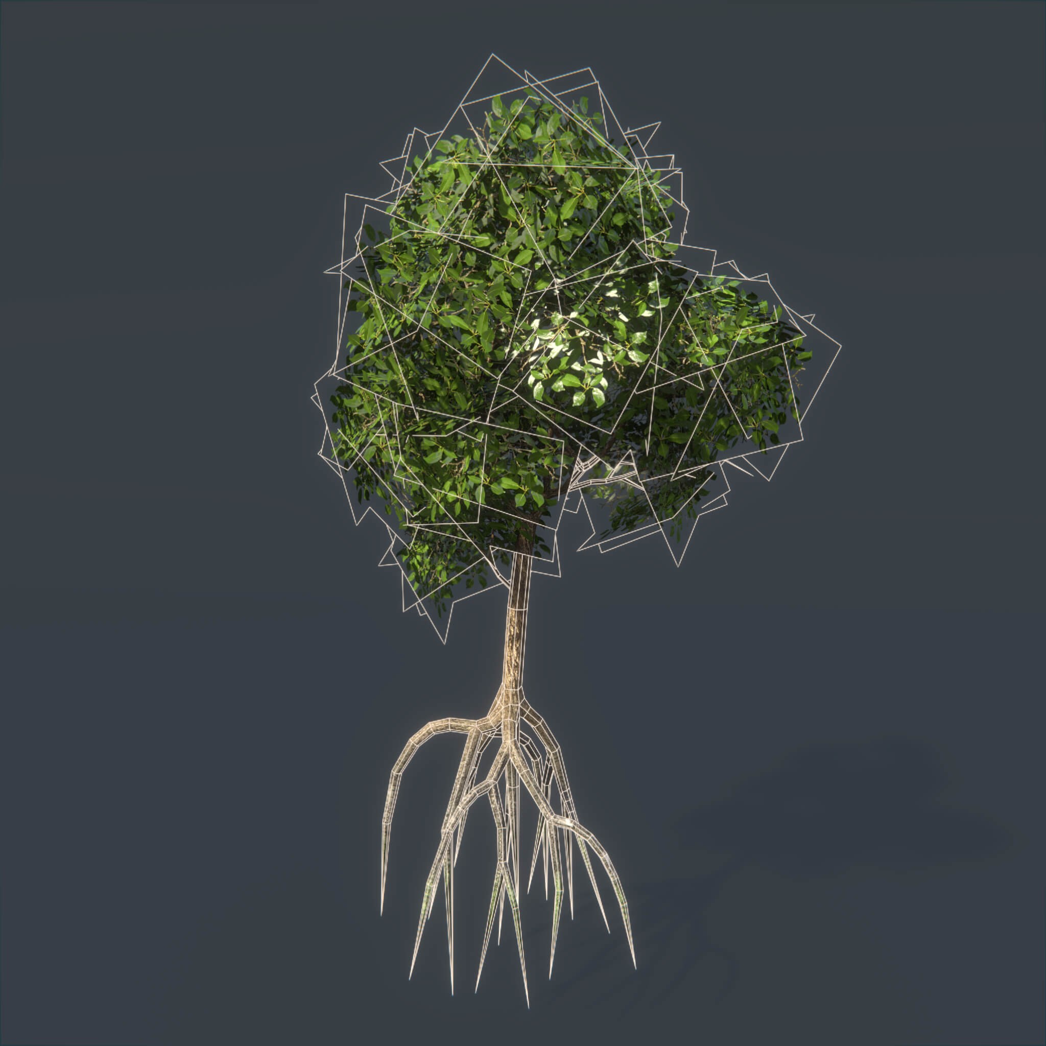 Low Poly Mangrove Trees - 3D Model by vvoitec