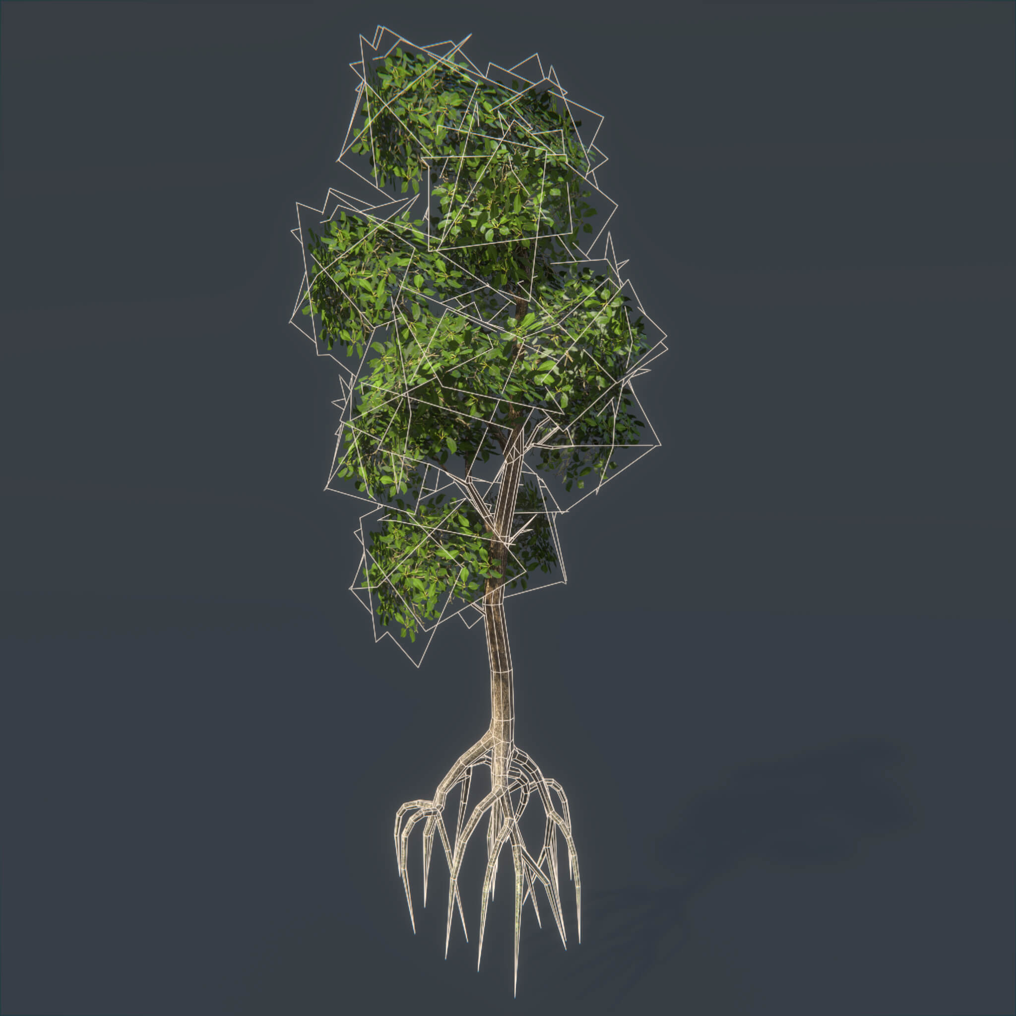Low Poly Mangrove Trees - 3D Model by vvoitec