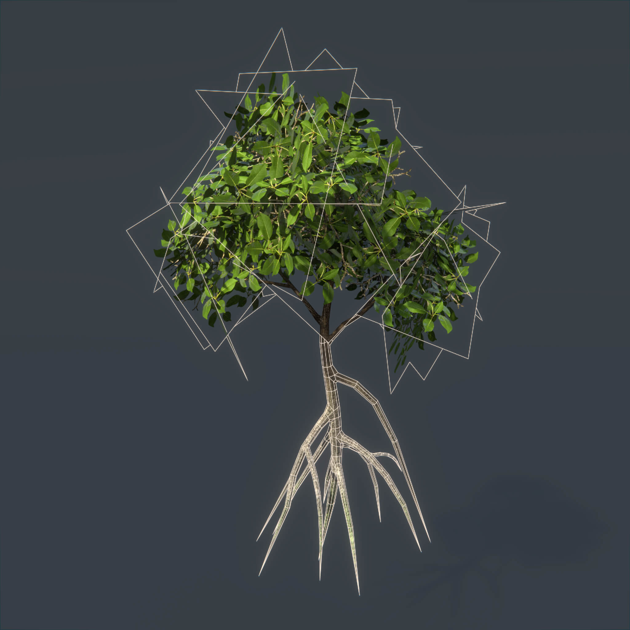 Low Poly Mangrove Trees - 3D Model by vvoitec